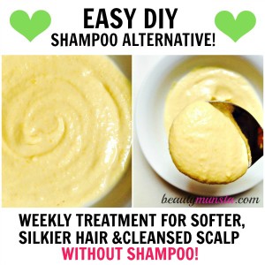 17 Natural Shampoo Alternatives for the Crunchy at Heart - beautymunsta ...