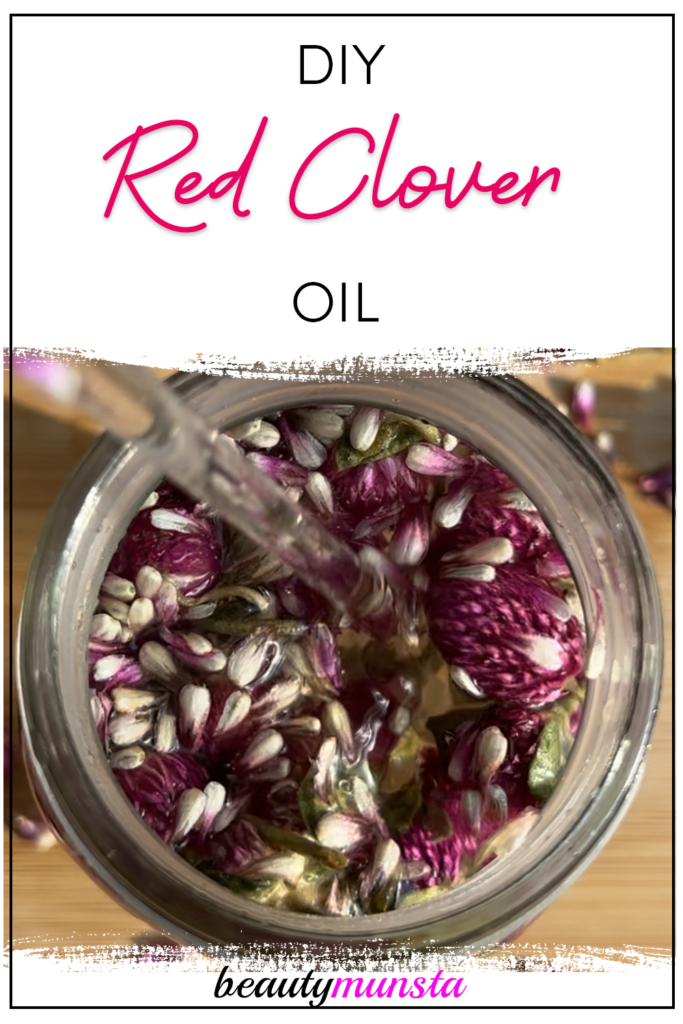 10 Beauty Benefits of Red Clover and How to Make DIY Red Clover Oil ...